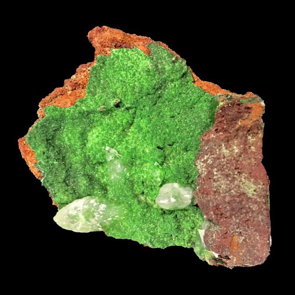 Conichalcite | Prospector Minerals
